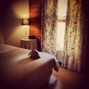 Merrijig Inn, Port Fairy (updated prices 2025)