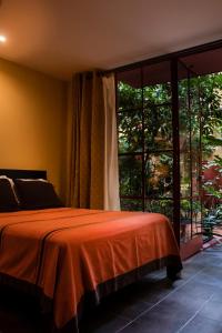 The Red Tree House, Mexico City – Updated 2024 Prices