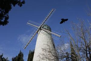 Harmony Hotel - an Atlas Boutique Hotel, Jerusalem (updated prices 2025)