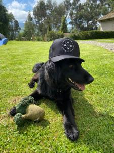 Hosteria Papagayo Cotopaxi, Machachi – Updated 2022 Prices