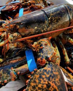 Villa Rava Hotel & restaurant, Rava (updated prices 2025)