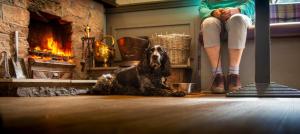 Dryburgh Arms Pub with Rooms, Melrose (updated prices 2025)