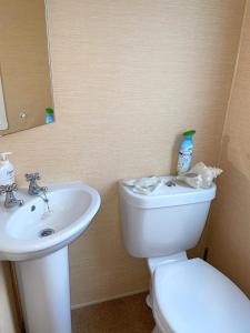 Caravan for rent at Tattershall Holiday Park, Tattershall (updated ...