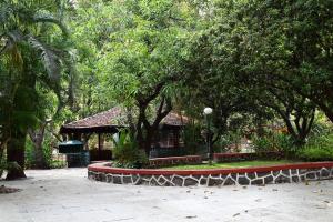 Pinewood Resort, Karjat (updated prices 2025)