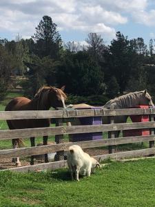 Alpine Country Motel, Cooma – Updated 2024 Prices