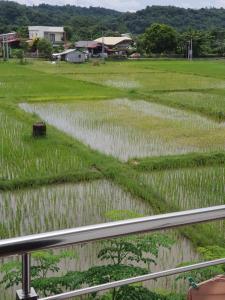 ASHBURN'S TRANSIENT Bauang La Union - BARKADA ROOM, LIMITED PARKING ...