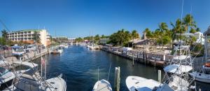 Holiday Inn Key Largo, an IHG Hotel, Key Largo – Updated 2024 Prices