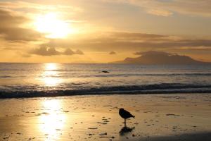 Pakiri Beach Holiday Park, Pakiri (updated prices 2025)