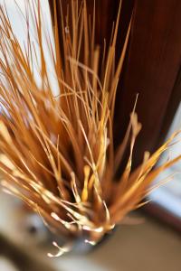 Tercia Hubertus Panzió, Sopron (updated prices 2025)