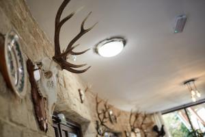 Tercia Hubertus Panzió, Sopron (updated prices 2025)