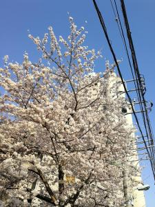 Meguro Emperor (Adult Only), Tokyo (updated prices 2025)