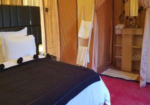 Sahara Relax Camps, Zagora – Updated 2024 Prices