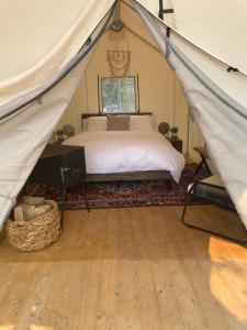 Chute Lake Lodge, Naramata – Updated 2023 Prices