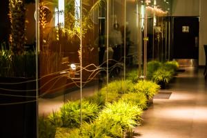 Hotel Novit, Ciudad de México (precios actualizados 2025)