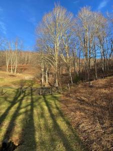 Cozy Cabin Near Grayson Highlands State Park, Whitetop – Updated 2023 ...