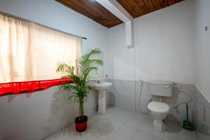 Drop Inn Hostels, Colombo (updated prices 2025)