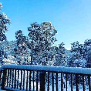 Lemonthyme Wilderness Retreat, Moina (updated prices 2025)