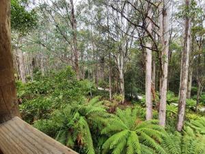 Lemonthyme Wilderness Retreat, Moina (updated prices 2025)