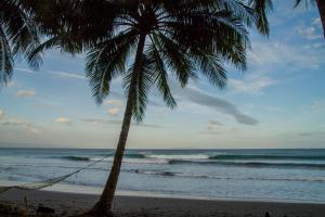Bale Karang Cottages, Batukaras (updated prices 2025)
