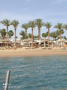 Seti Sharm Resort, Sharm El Sheikh, Egypt - Booking.com