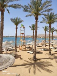 Seti Sharm Resort, Sharm El Sheikh, Egypt - Booking.com