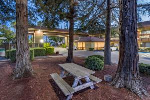 Best Western Orchard Inn, Turlock (updated prices 2025)