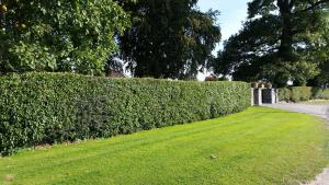 Ty Derw Country House B&B, Ruthin (updated prices 2025)