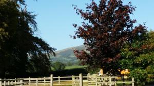 Ty Derw Country House B&B, Ruthin (updated prices 2025)