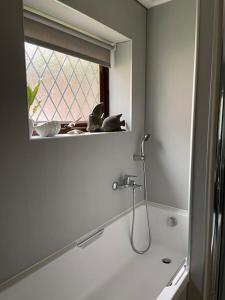 Award winning pet friendly paddock cottage, Whitby (updated prices 2025)