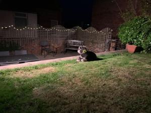 Award winning pet friendly paddock cottage, Whitby (updated prices 2025)