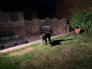 Award winning pet friendly paddock cottage, Whitby (updated prices 2024)