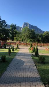 Cabana Sweetlife, Rimetea (updated prices 2025)