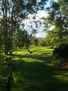 Elfin Hill Vineyard Accommodation, Pokolbin – Updated 2024 Prices