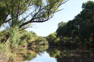 Verde Ranch RV Resort, Camp Verde – Updated 2024 Prices