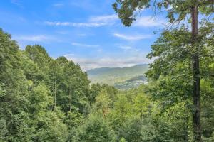 Blue Ridge Lookout Beautiful Modern Cabin - Nature Hikes and Pets OK ...