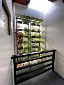 TEZA Resort, Bantayan Island – Updated 2023 Prices