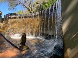Bass Lake Country Lodge, Pretoria (updated prices 2025)