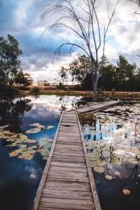 Bass Lake Country Lodge, Pretoria (updated prices 2025)