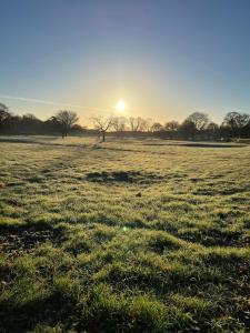 The Three Blackbirds, Stetchworth – Updated 2022 Prices