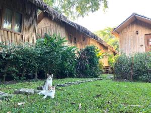 Lanna House Lanna Hut Chiangmai, Chiang Mai – Updated 2023 Prices