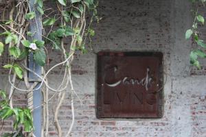 Cando Living Apartments in Central Avenue, San José (updated prices 2025)