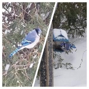 Chalet familial, vue sur le lac, Saint-Calixte (updated prices 2025)