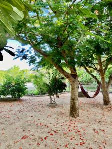 Embe Lodge, Kizimkazi (updated prices 2025)