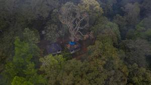 Nature Zone Jungle Resort, Munnar (updated prices 2025)