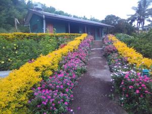 Dreamview Villas, Rakiraki (updated prices 2025)