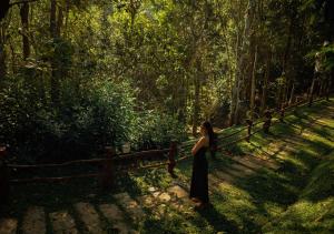 Chembarathi Wayanad Boutique Resort, Vaduvanchal (updated prices 2025)