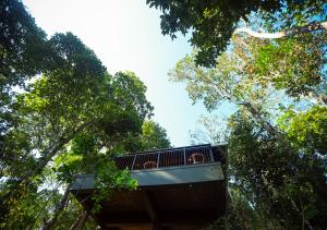 Chembarathi Wayanad Boutique Resort, Vaduvanchal (updated prices 2025)