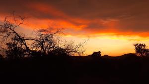 Amakhosi Safari Lodge & Spa, Magudu (updated prices 2025)