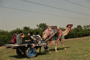 Luxury tent Delta 105 - A Military Themed Adventure Park, Manesar ...
