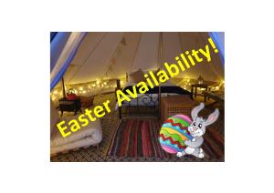 5m xl bell tent with log burner near Whitby, Saltburn-by-the-Sea ...